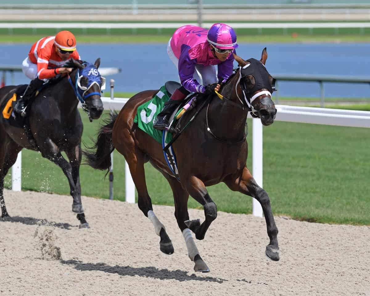 Pardy Pleaser First Winner for Solera Farm Stallion Rogueish - FTBOA