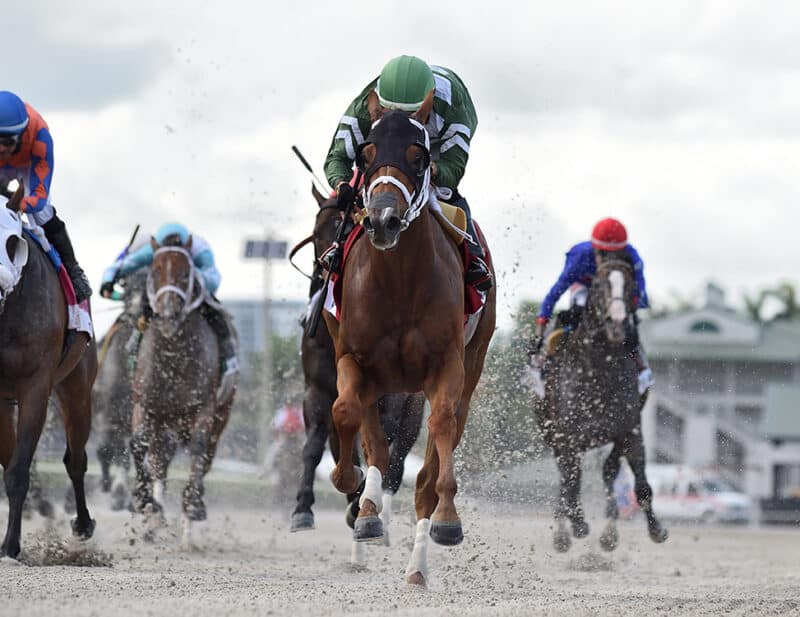 Dean Delivers, Big and Classy Rematch in Gil Campbell Memorial Handicap ...