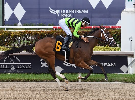 Let Them Watch Puts Unbeaten Record On Line in Myrtlewood - FTBOA