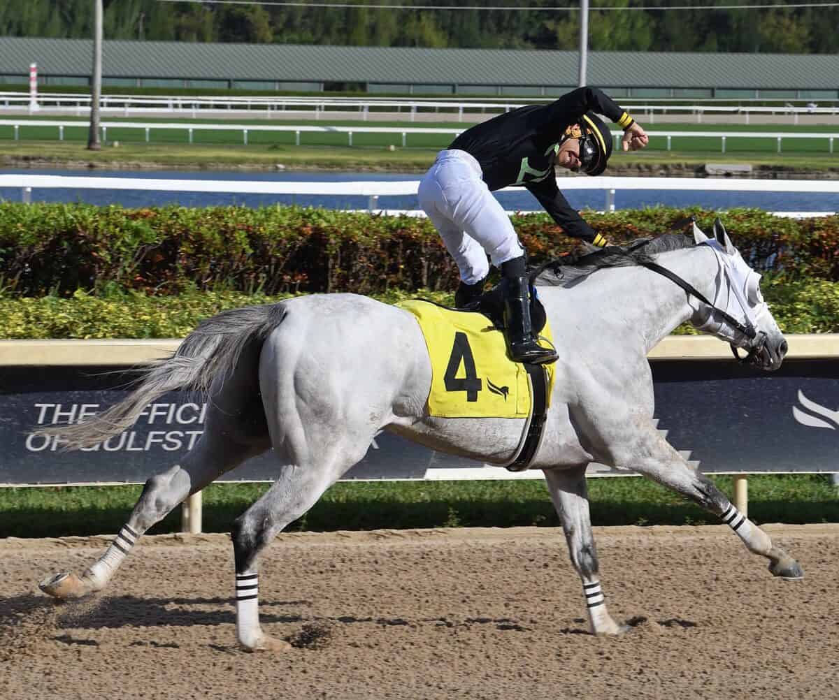 Jockey Edgar Perez Notches North American Win No. 1,000 at Gulfstream ...