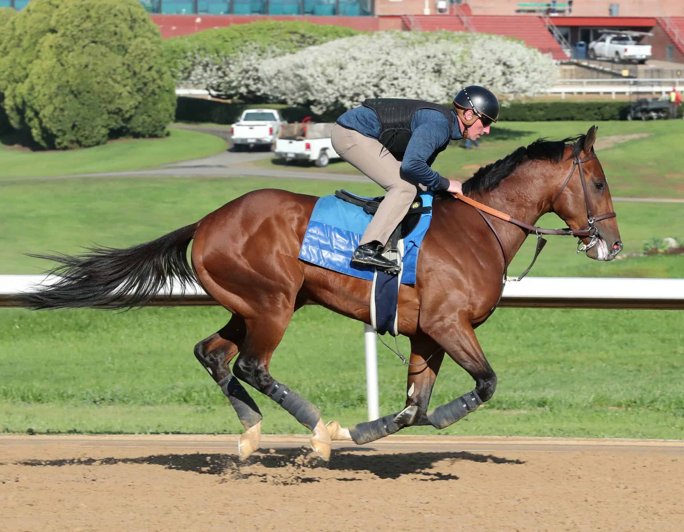 Doppelganger to Stand the 2024 Breeding Season at Pleasant Acres ...