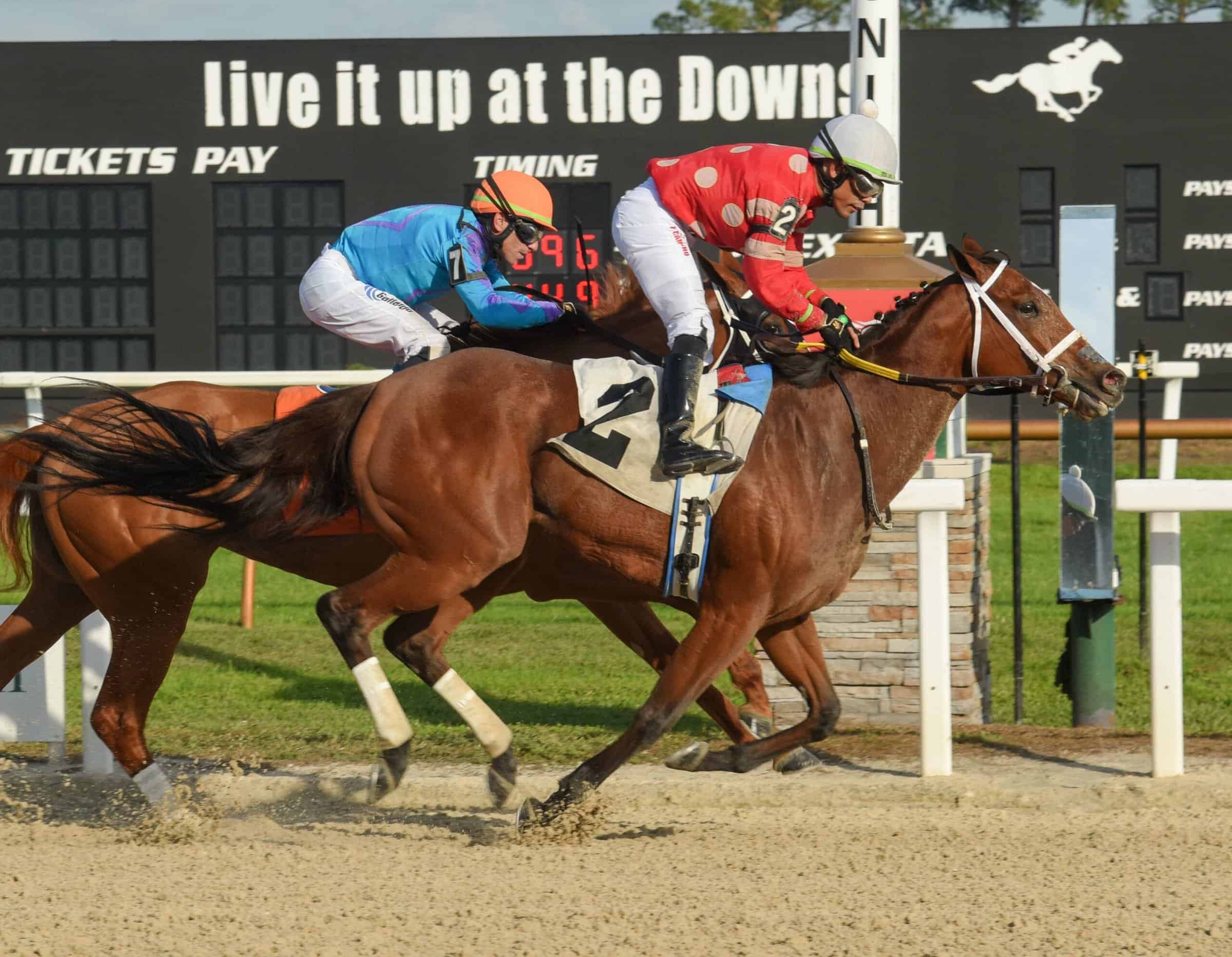 Florida-bred Bluefield Returns to Gulfstream for Grade 3 Sugar Swirl ...