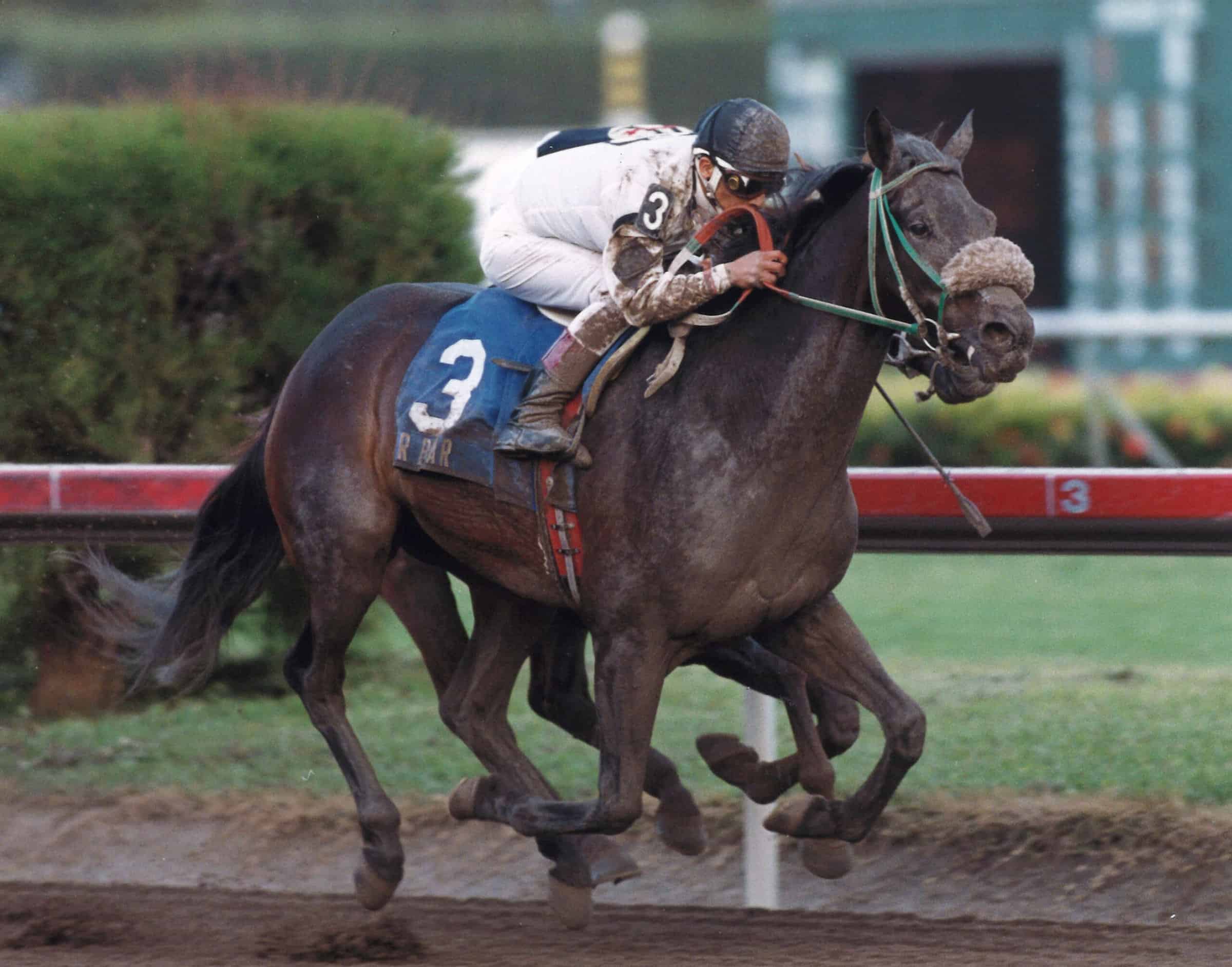 This Day in Florida Thoroughbred History – January 12 - FTBOA