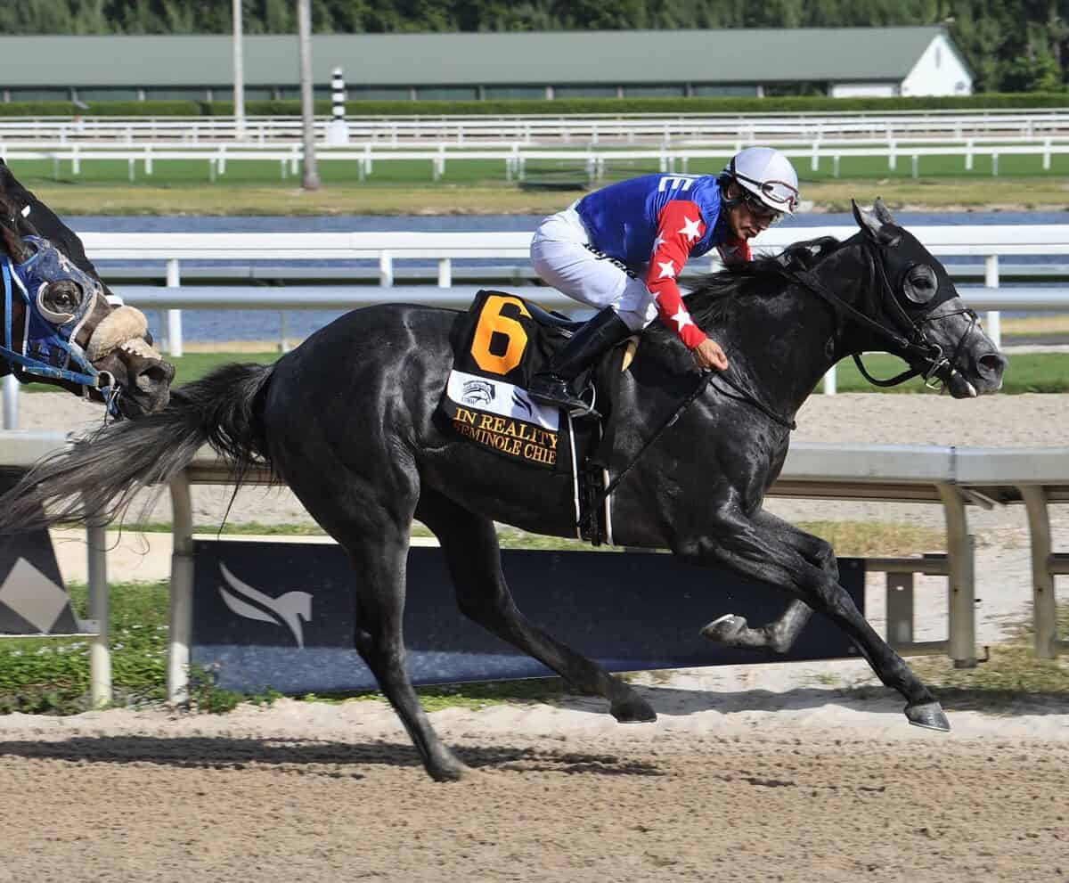 Florida Sire Stakes Hero Seminole Chief Breezes for Holy Bull - FTBOA