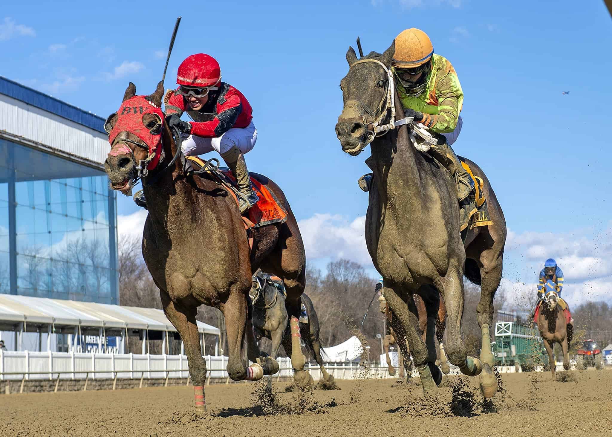 Black-Types Tangle in $100,000 Harrison E. Johnson - FTBOA