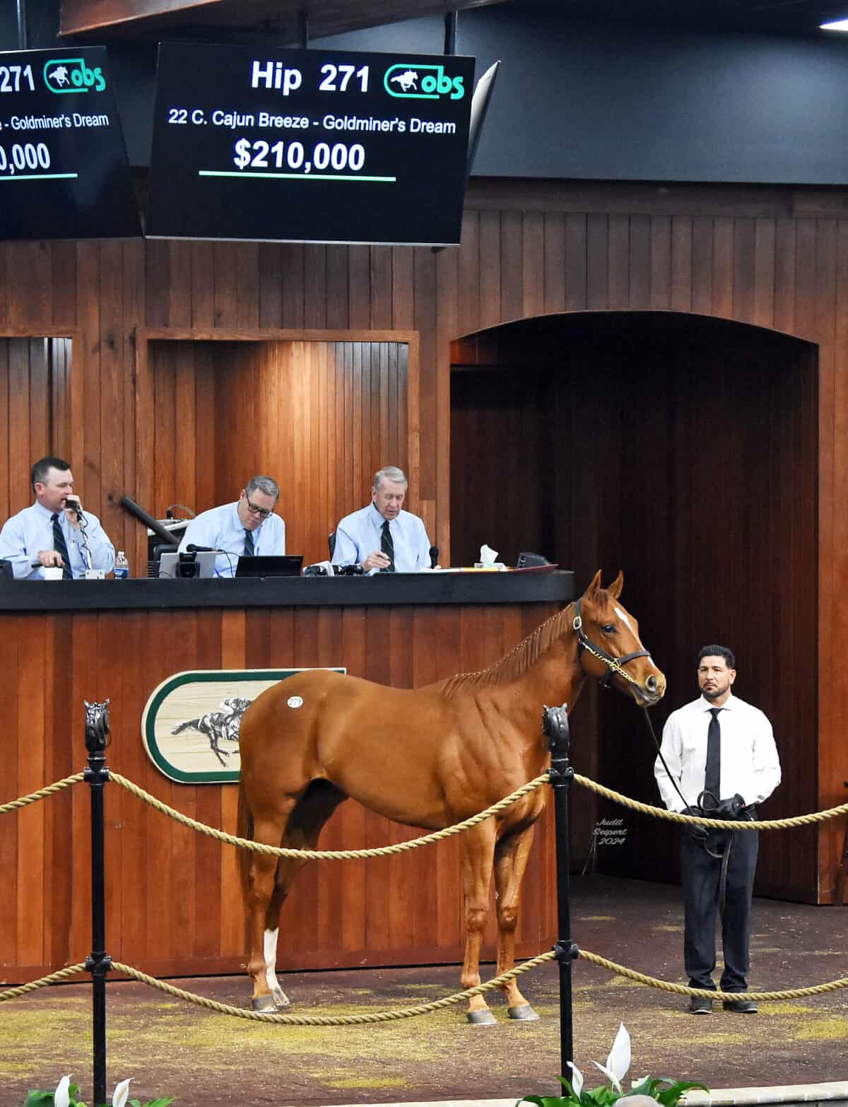 Galloping Gray Tapit Colt Sells for $1.2 Million Tuesday at OBS March ...