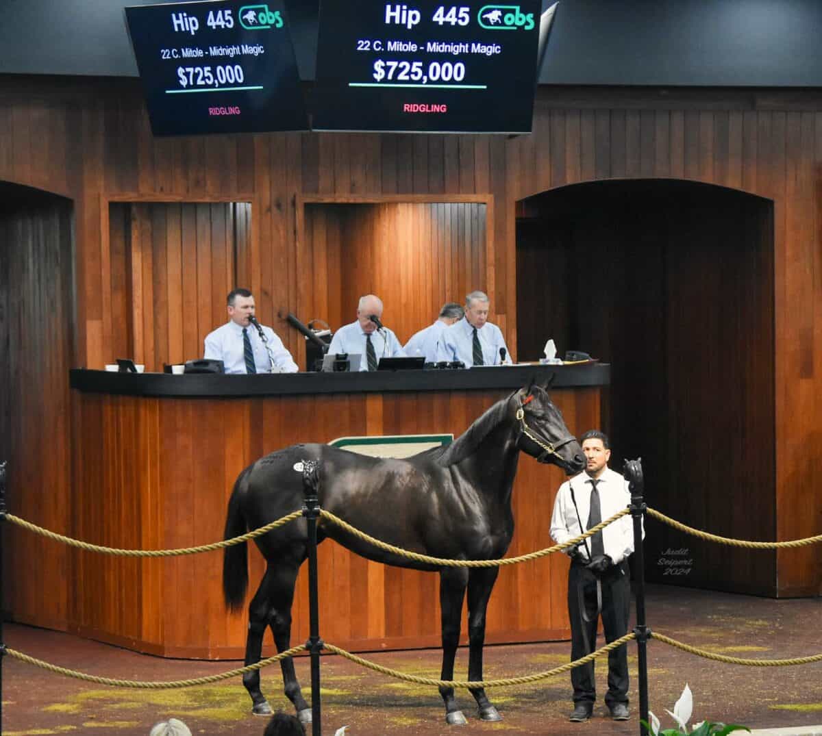 Two Seven Figure Juveniles Highlight Wednesday Action at OBS March - FTBOA