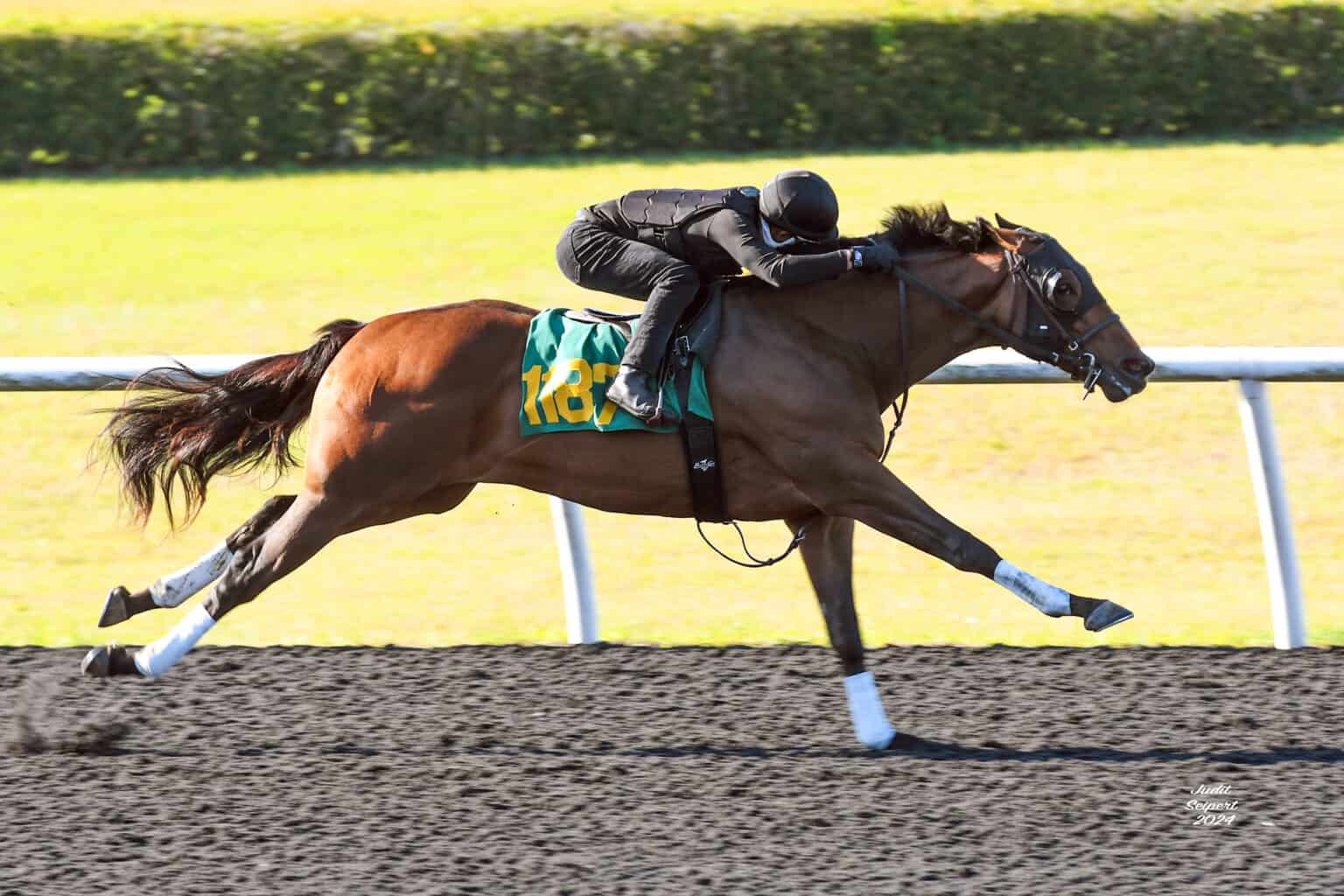 McKinzie Filly Equals Track Record with :20.20 Quarter Mile - FTBOA
