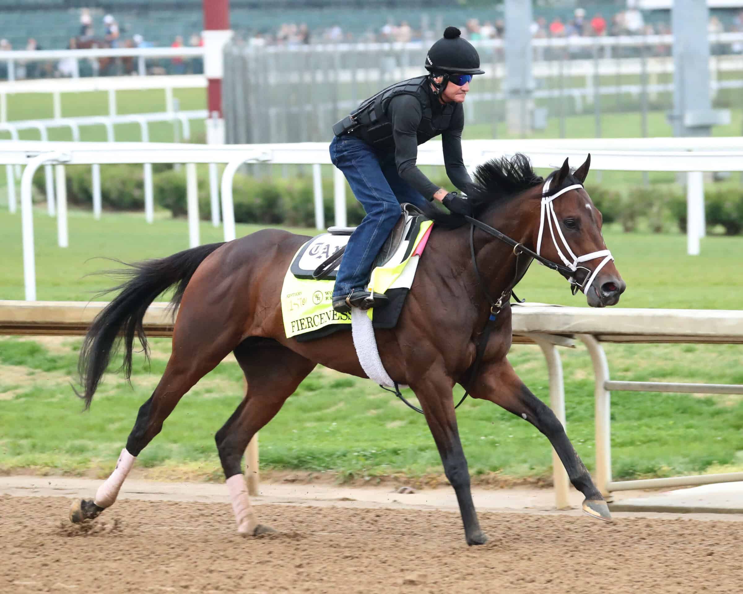 Fierceness 5-2 Morning Favorite for 150th Kentucky Derby - FTBOA