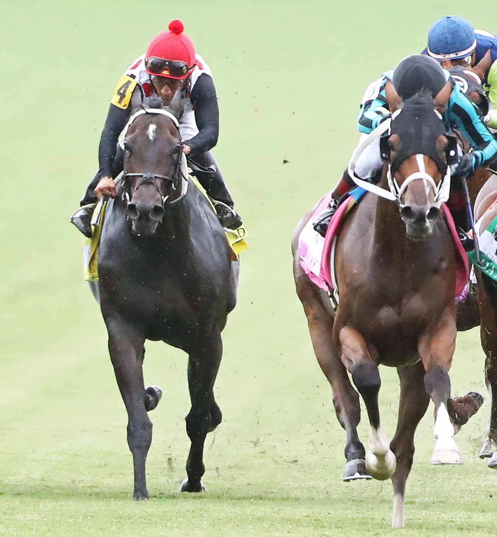 Biz Biz Buzz Travels To Woodbine for Thorncliffe - FTBOA