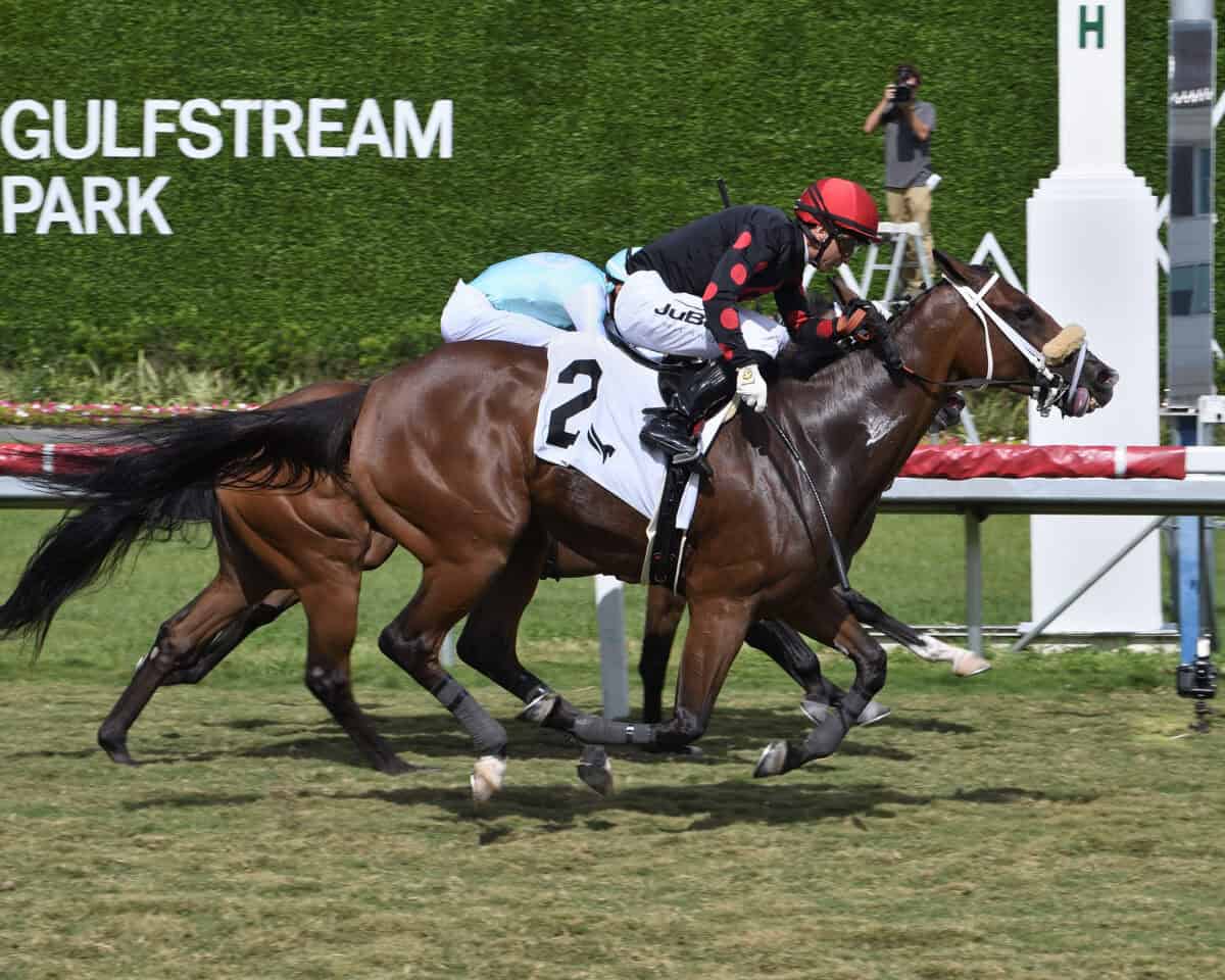 Judge Judith Regains Winning Form in Sunday's Gulfstream Feature - FTBOA