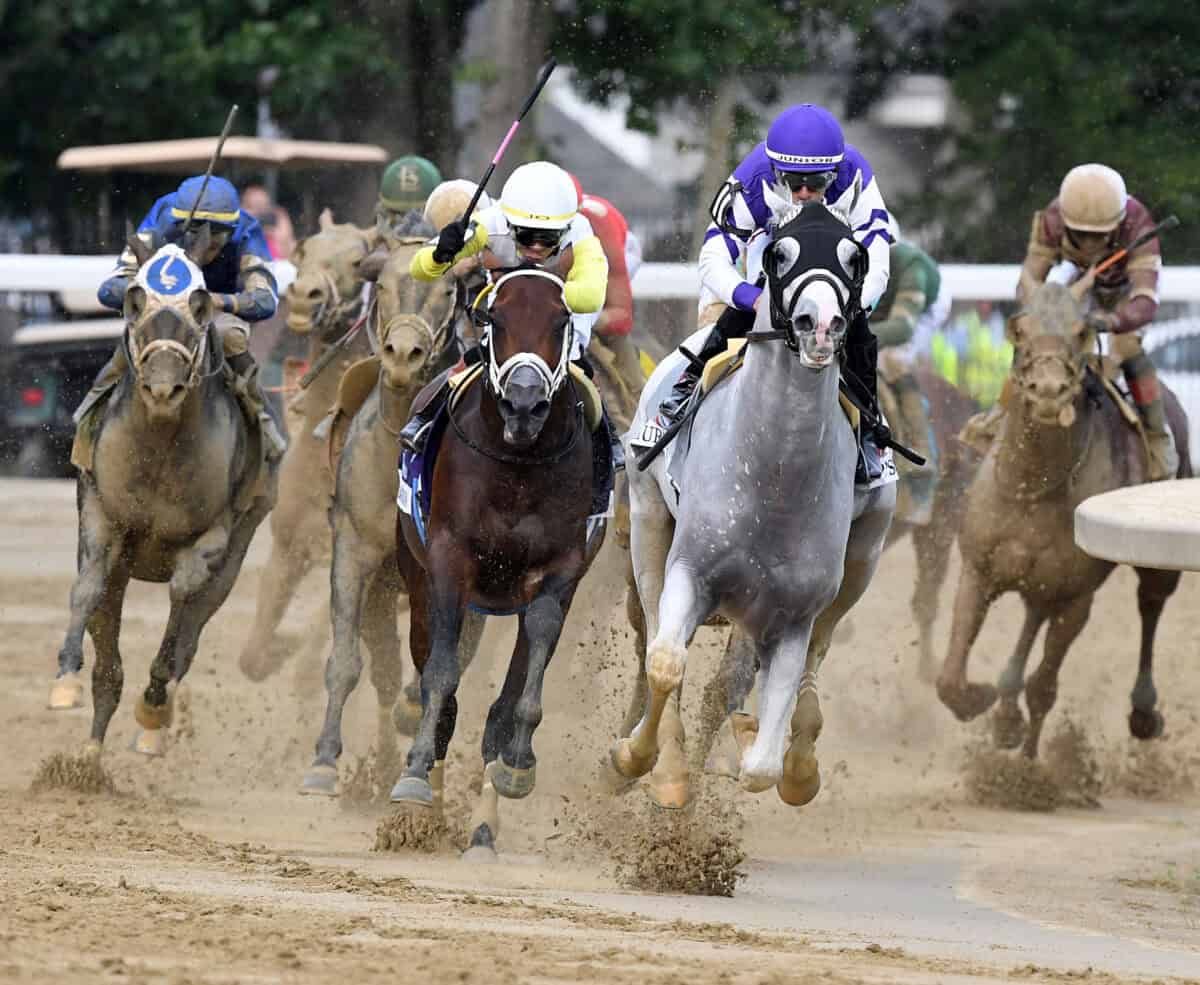 Florida-bred Arthur’s Ride Rides High into Jockey Club Gold Cup - FTBOA