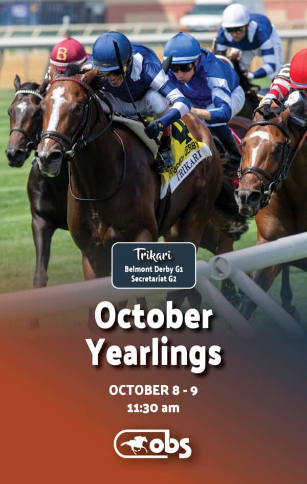 OBS October Yearling Sale Catalog Now Online - FTBOA