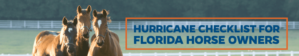 Hurricane Checklist for Florida Horse Farms - FTBOA