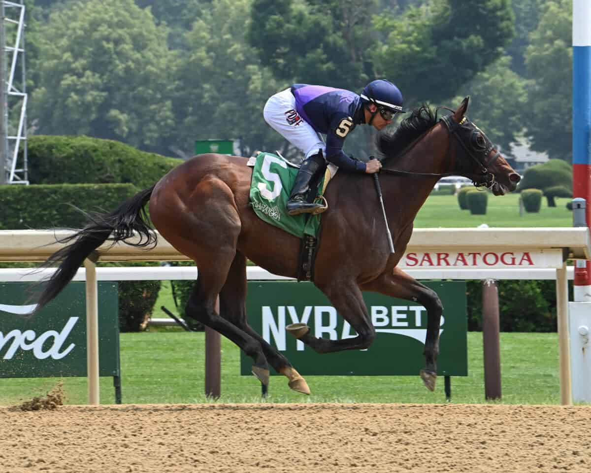 Florida-bred Diblasi Popular Maiden Special Weight Winner at Saratoga ...