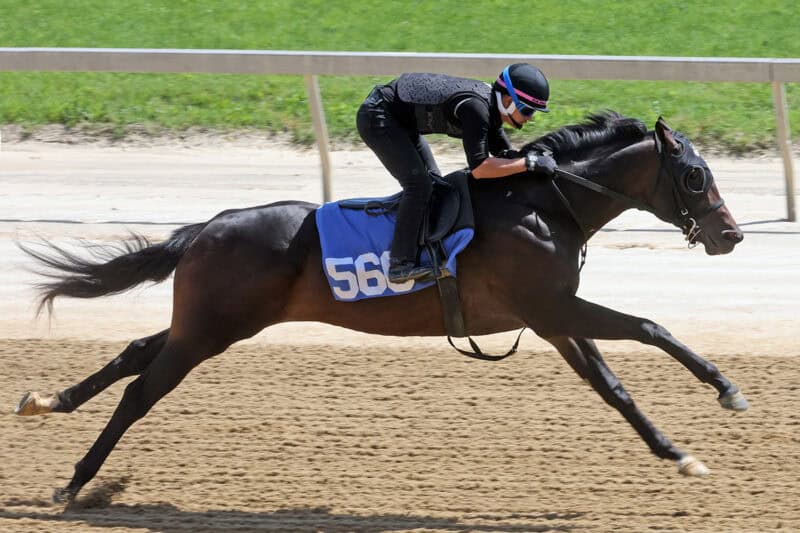 Vidio bokep barat hot she is a very good looking girl so it