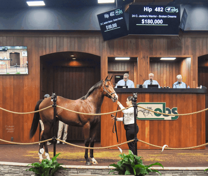 Average Prices Increase Again Wednesday with Jackie’s Warrior Colt Best ...